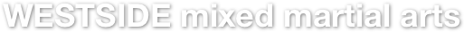 WESTSIDE mixed martial arts